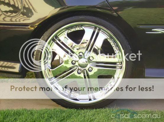 F/S S.A 19'' XHP Shorelines | Just Commodores