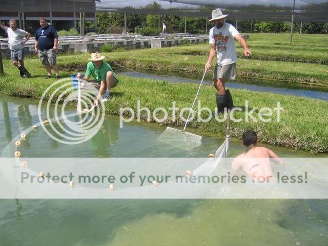 Madagascar fish from my fish farm trip. | MonsterFishKeepers.com