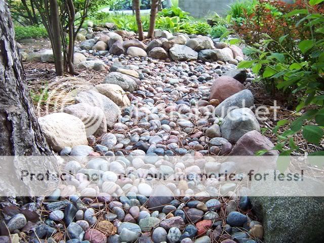 Dry Creek Bed Photo by wilddog_202 | Photobucket