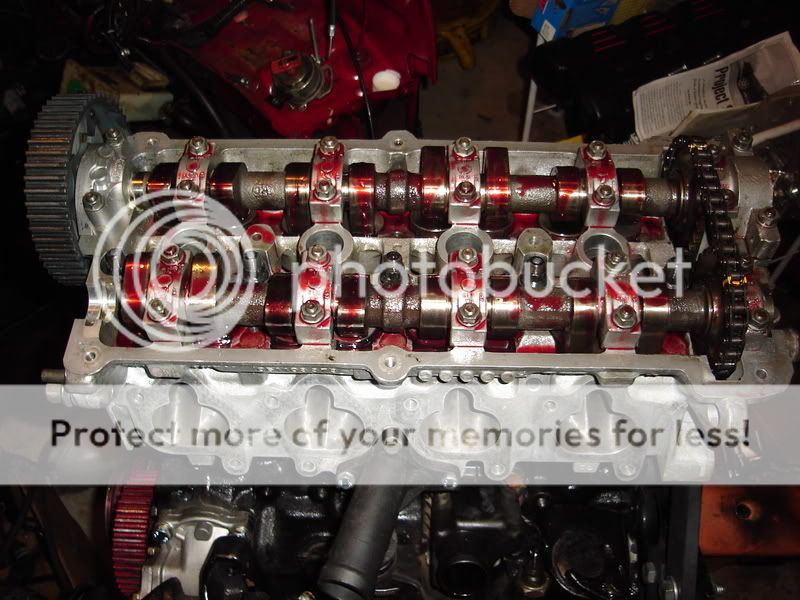 All motor 16v dyno! | Page 23 | VW Vortex - Volkswagen Forum