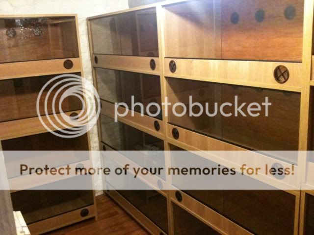 W Midlands - Custom vivs, racks and stacks | Reptile Forums