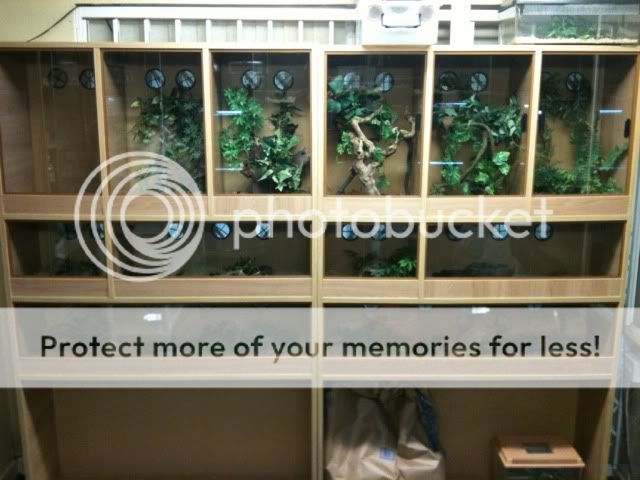 W Midlands - Custom vivs, racks and stacks | Reptile Forums
