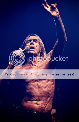 FARK.com: (5538585) Timeline of Iggy Pop's torso, all the way to the ...