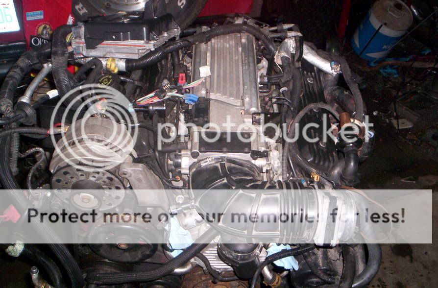 95 LT1 complete with harness/computer | Pirate 4x4