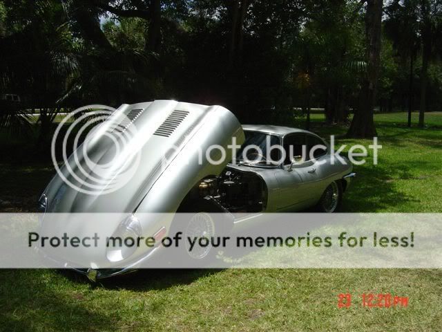 Which new cars have clamshell hoods? | VW Vortex - Volkswagen Forum