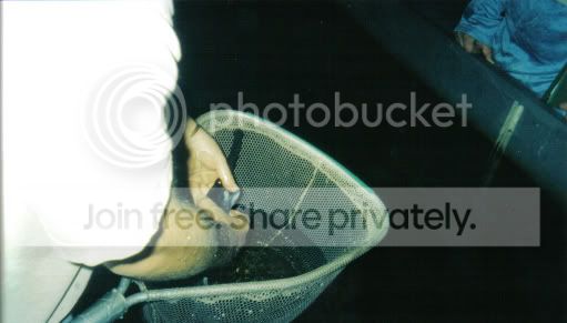 Oneida Fish Hatchery | MonsterFishKeepers.com
