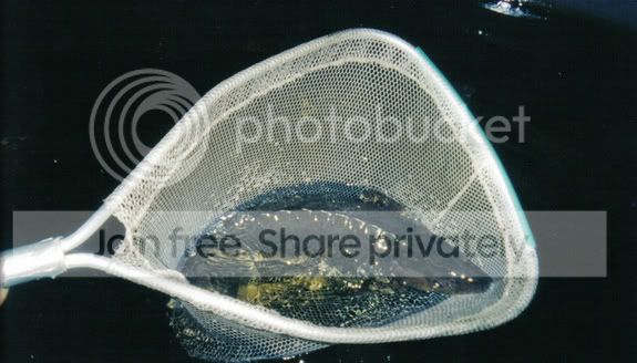 Oneida Fish Hatchery | MonsterFishKeepers.com