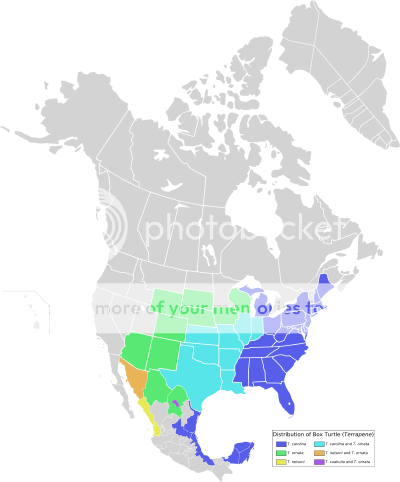 Map of native Box Turtle | Tortoise Forum