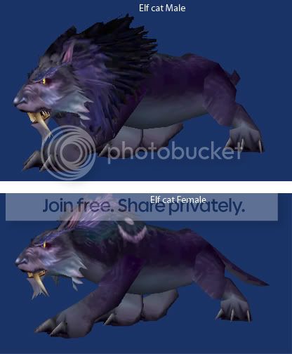 Night Elf Druid Cat Form | HIVE