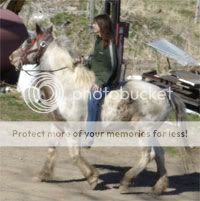 The Sum of Me: Double EE Ranch Rodeo 2005
