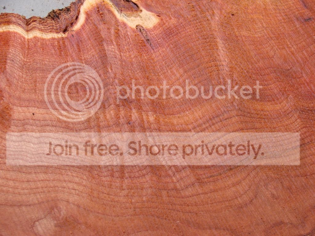 salt cedar | Woodworking Talk