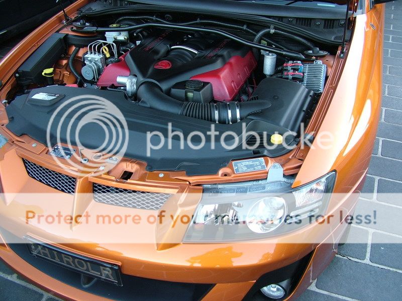 my vz clubby R8 | Just Commodores