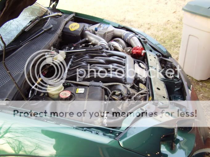 Focus owner with 'tour svt engine saying hi | New Cougar Forum