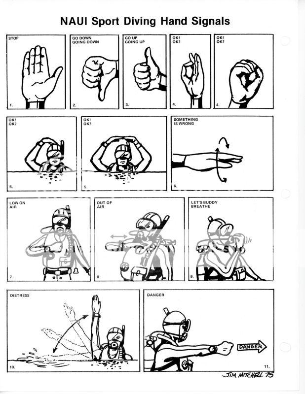 MOF (Mask On Forehead) | Vintage Scuba Diving Community Forum