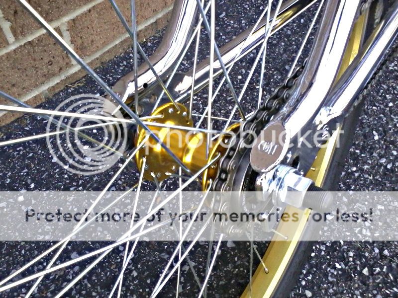 post up an "artistic" photo - BMXmuseum.com Forums