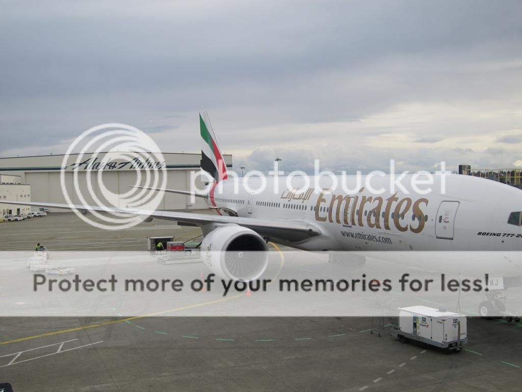 candidanimal: The Emirates Air Experience