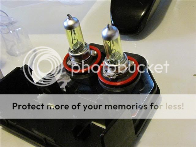 *GOLD* Emblems *Fog Switch* Amp Wiring Kit | Acura RSX, ILX and Honda ...