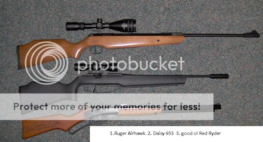 I ordered my daisy 853 from the cmp today | Rimfire Central Firearm Forum