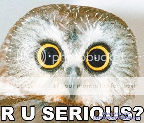 Silkroad Online Forums • View topic - The Sarcasim Topic