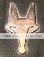 Audi Fox Idea? | VW Vortex - Volkswagen Forum